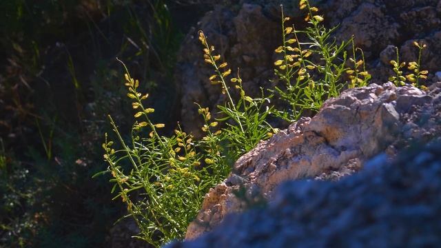 Exploring Amazing Place on Earth - 4K Relaxation Video of the Northern Black Sea