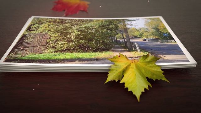 КРАСАВИЦА ОСЕНЬ 2024