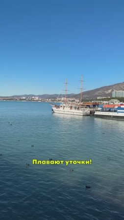 Прогулка по Геленджику 🌞🎄