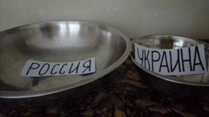 VID_20241217_115804