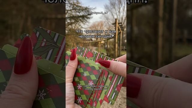 Что чувствует к вам человек сегодня? #таро #гадалка #гадание #свежиегадания #новоегадание #2025