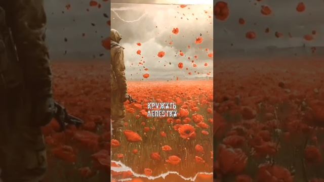 Аномалия " Маковое Поле "