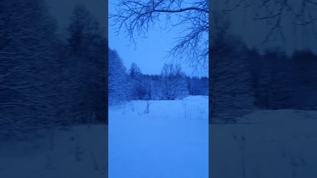 Настоящая русская зима