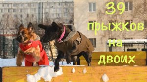 39 прыжков на двоих