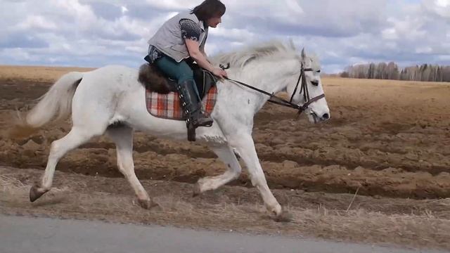 Работа с Мышай