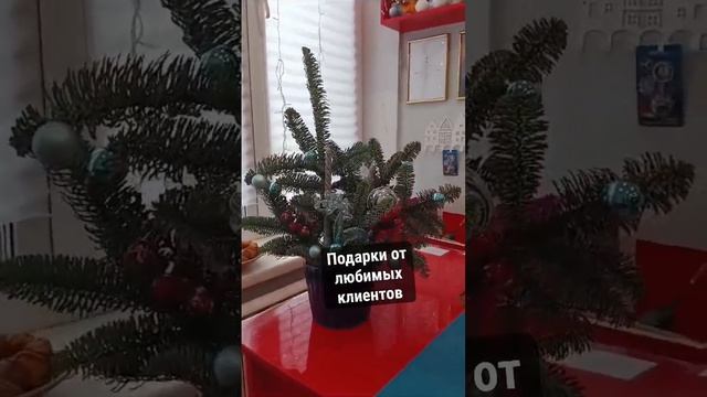 Какие риэлторы в Красноярске!