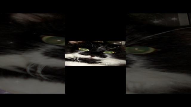 export_4613648177695809720[1]