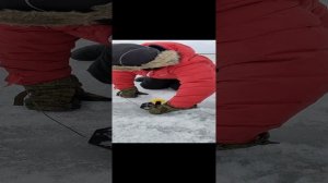 Стрел флажка