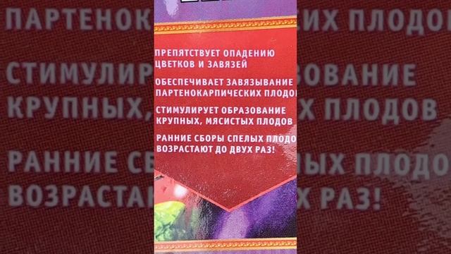 Дружное завязывание томатов без бора #shorts