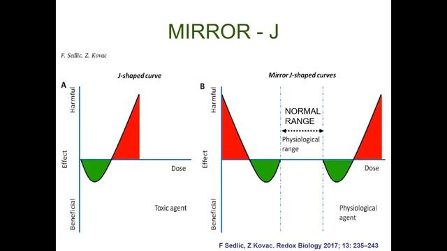 505 заседание  Санкт-Петербургского общества патофизиологов