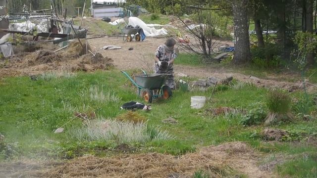 Несколько мгновений весны Мавриваны