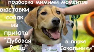 Мимими подборка самых трепетных и умилительных моментов выставки собак Пора Домой 
19 августа 2018