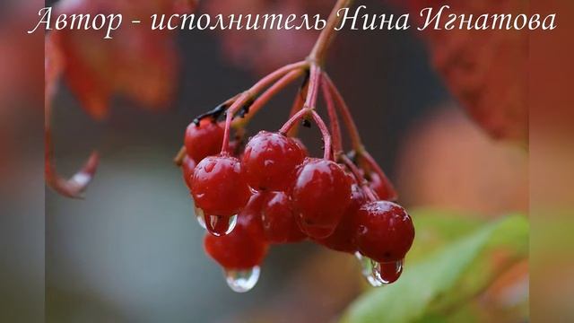 "Калина "-  авторская песня - поэт Нина Игнатова