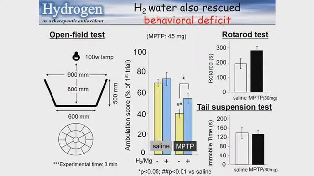 Лекция: Mami Noda