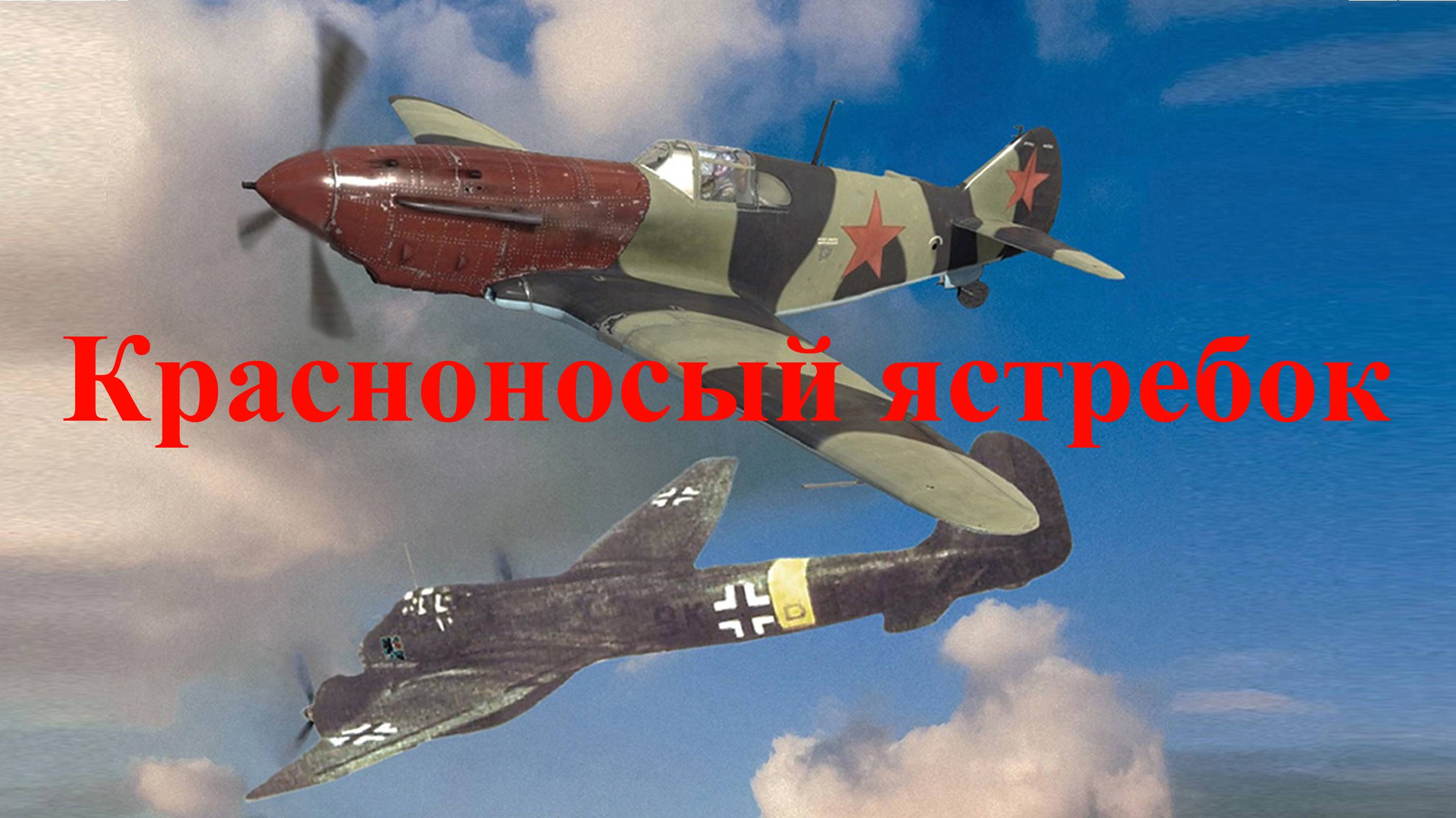 Красноносый ястребок