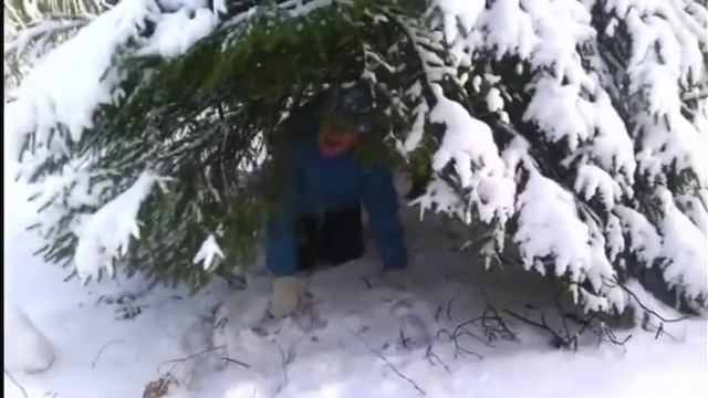 Злая собака