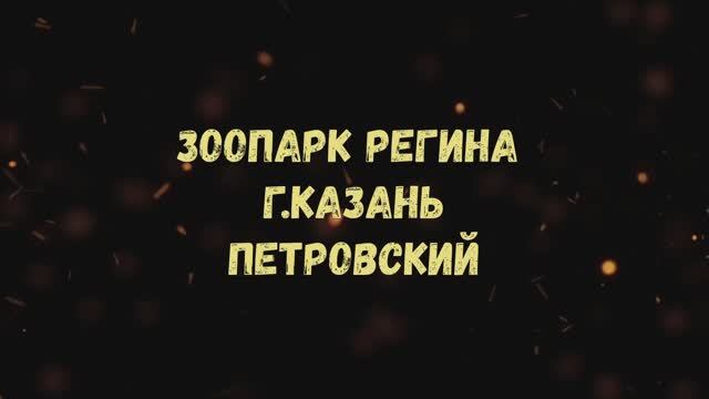 Зоопарк Регина 2022