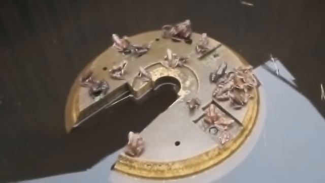 Ильин день (Мой маленький плот :) для лягушек:))