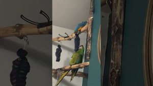 Смешные нарезки из ТикТок/Попробуй НЕ Засмеяться