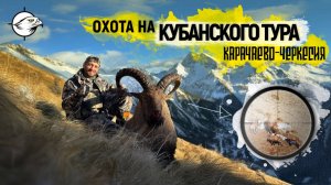 Охота На Кубанского Тура в Горах | трофей с одного выстрела | СпектрОптик