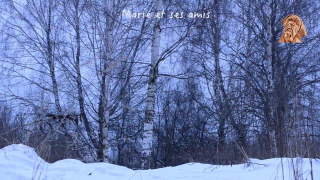 Зимний парк.