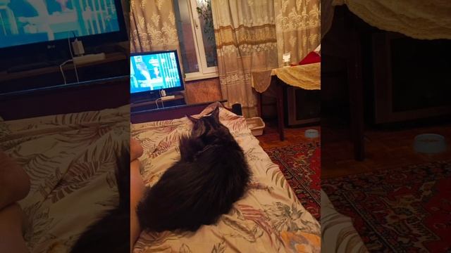 1000008908.mp4