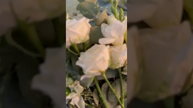 viva-decor 9 — сделано в Clipchamp