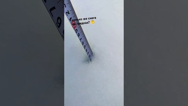 12 см это много или мало  А сколько у вас? #дача #зимовка#снег#клубника