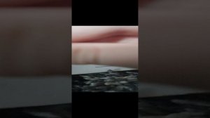 1000000325.mp4