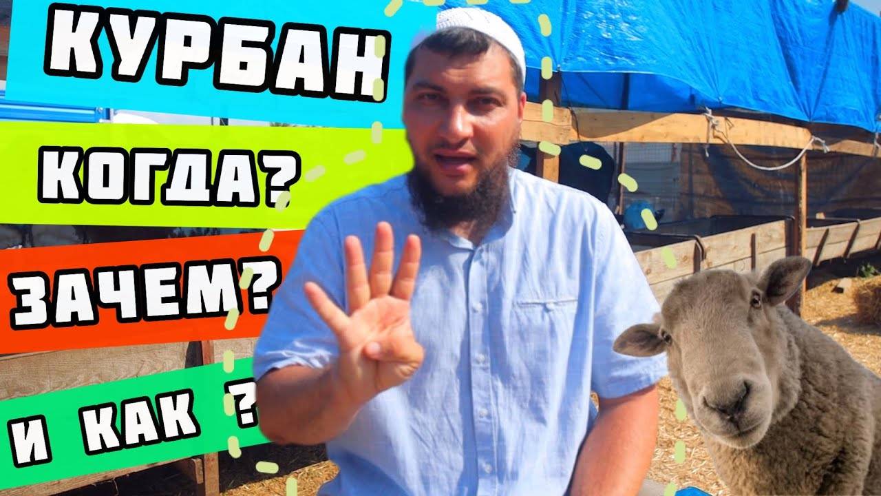 Поздравление с праздником Курбан-Байрам. Зачем мы это делаем + некоторые правила жертвоприношения