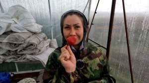 Дожди - не помеха!!!