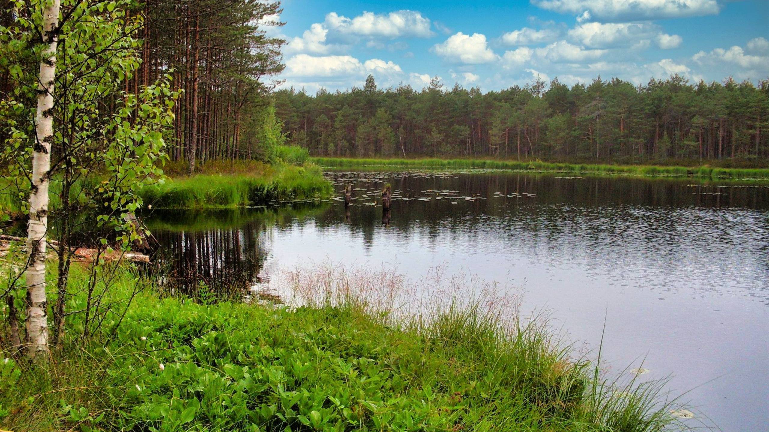 Игорь Корнилов - Чудо - моя женщина