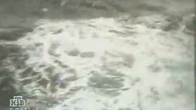 Лодка М 256.    2002г - 45 лет со дня гибели