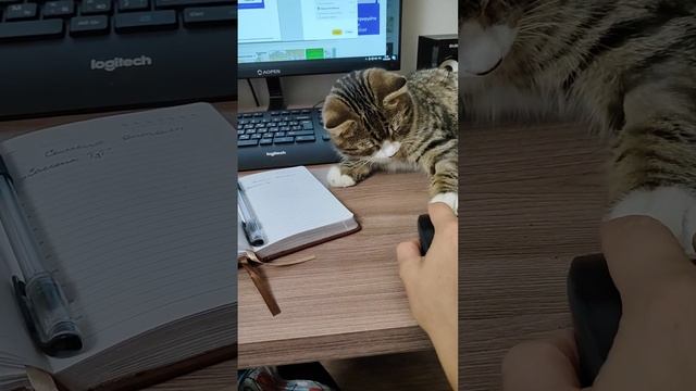 Охота на ""