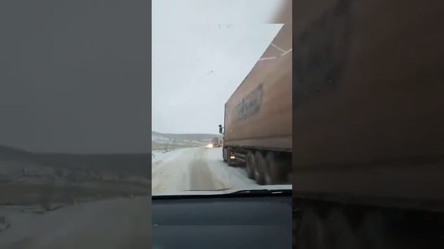 В Китай снова не доехал любимый деликатес