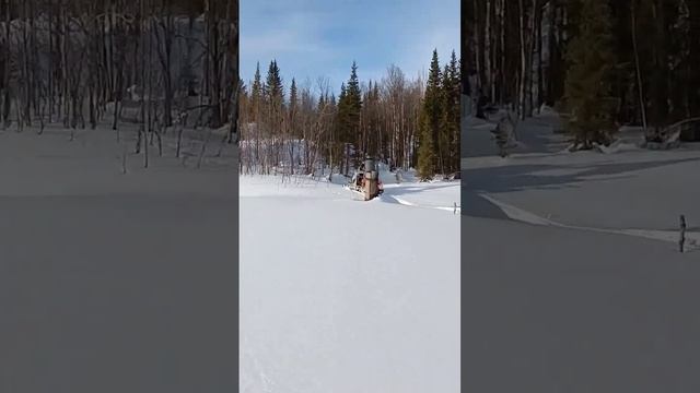 Снегоход на 600 гусенице по лесу у подножия горы по метровому снегу #shots