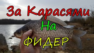 С Фидером За Карасями. Весна пришла , карась проснулся. Тёплый слив АЭС. Атомная Рыбалка.