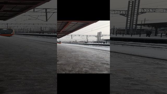 Иволга прибывает на станцию Химки