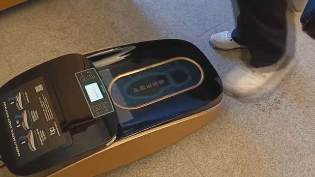 Новгородские поршни