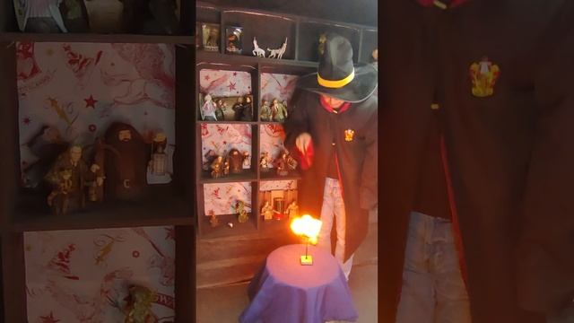 Как это? 19 #toys #magic #harrypotter #museum #collection #wizard #hp #cosplay