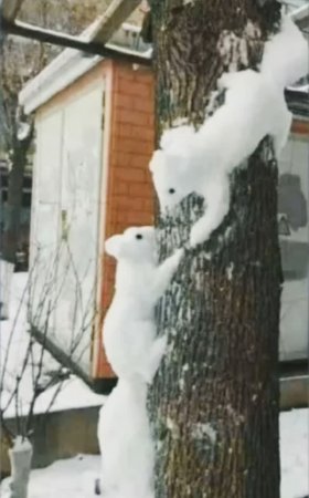 В каждом дворике есть свой фантазёр! Зимний скульптор.
Первый снег.