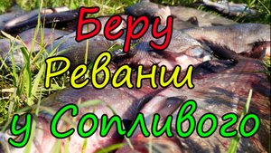 Лещ на ночной фидер. Реванш с Сопливым состоялся😁.Лещ Есть-он не может не есть.