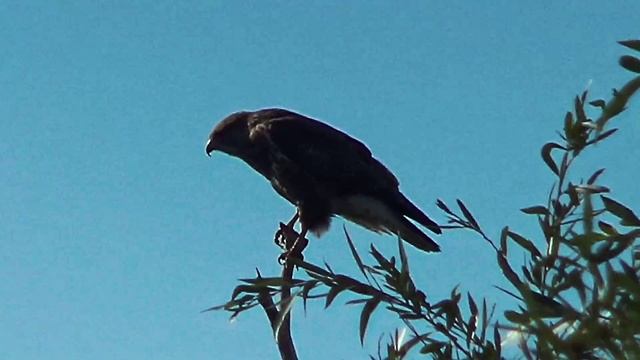 Всё под контролем