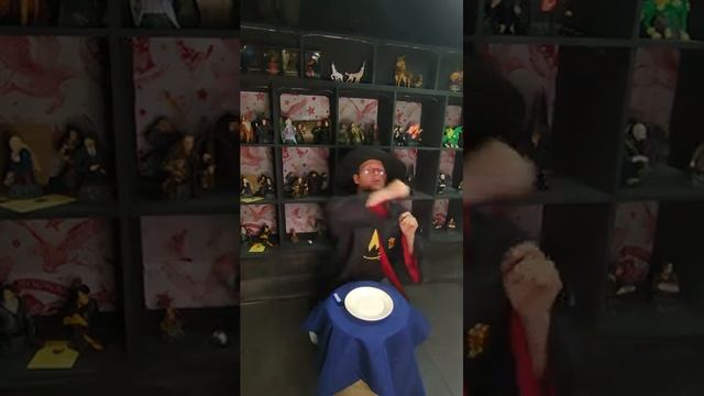 Как это? 17 #toys #magic #harrypotter #museum #collection #wizard #hp #cosplay