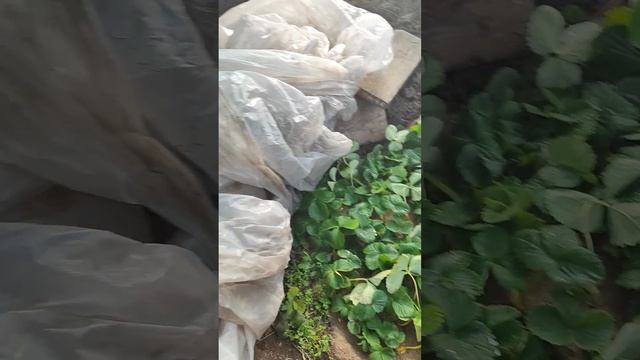 Прошло 2 недели, пока все хорошо