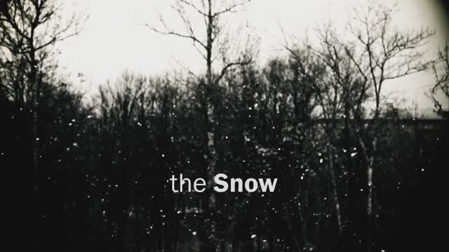 the snow (guitar ambient, soundscape, Medvedev feat Balashov)