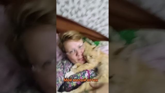 Наши любимые домашние питомцы
