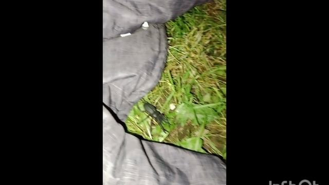 опасайтесь варёного