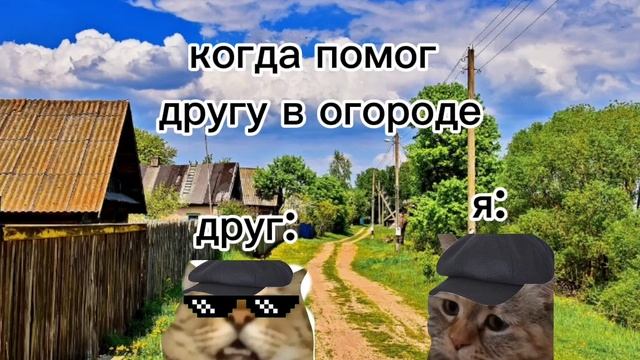 Мем 1