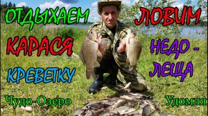 Летний Фидер на Чудо-Озере Удомля с Женой Димонстром и Пёселем по кличке Боба. Ночная рыбалка